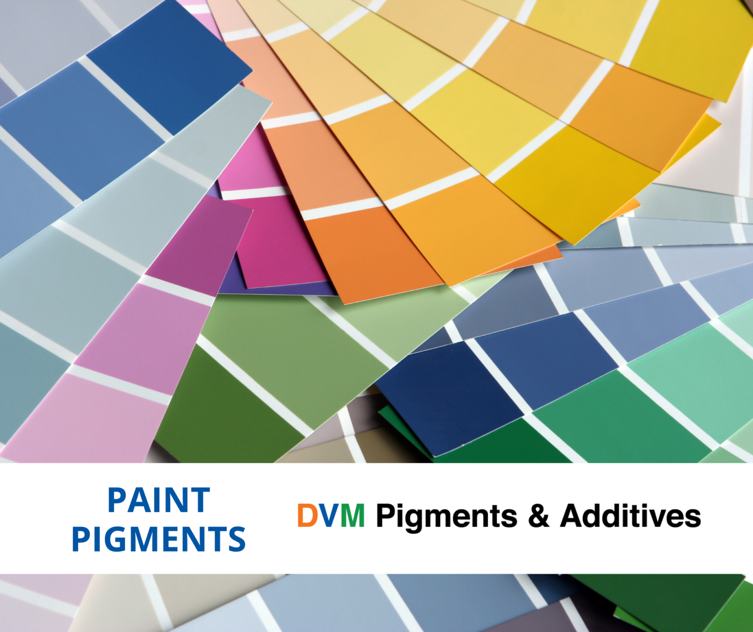 Providing Aqueous Pigment Dispersions for the Paints Industry - DVM ...